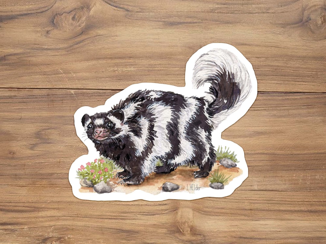 Spotted Skunk Vinyl Sticker, Skunk and Flowers Vinyl Sticker, Wildlife ...