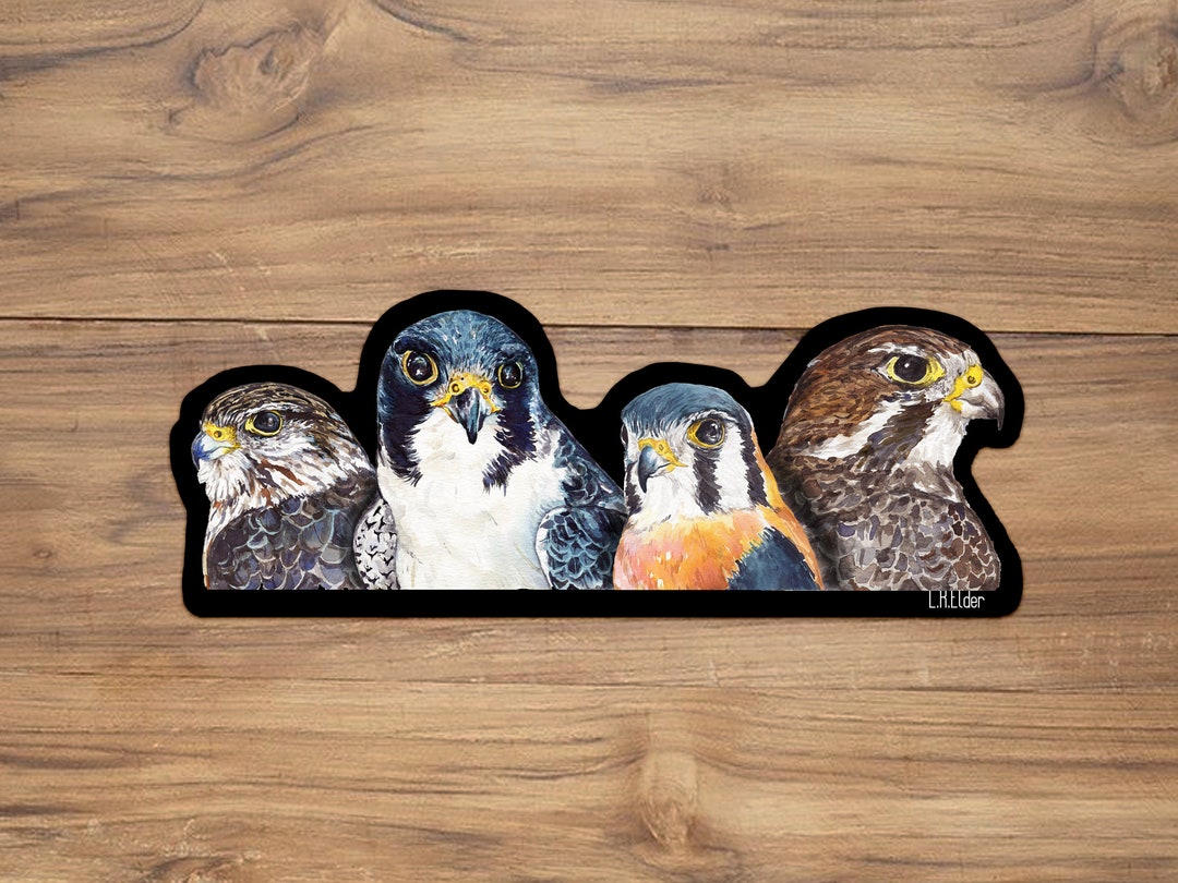 American Kestrel Sticker, Falcon Sticker, Bird Stickers, Peregrine ...