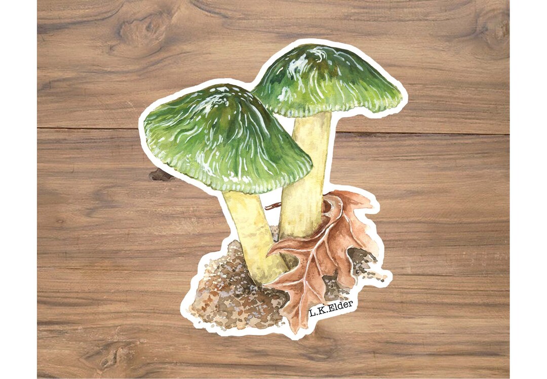 Parrot Toadstool Sticker Green Mushroom Sticker Amanita - Etsy