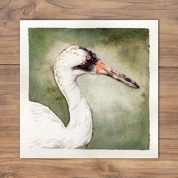 Whooping Crane - Etsy