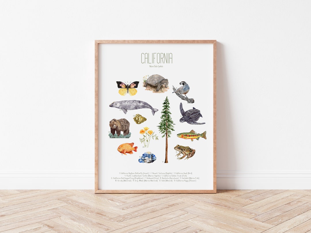 California State Symbols Art Print, California State Symbols Typology ...