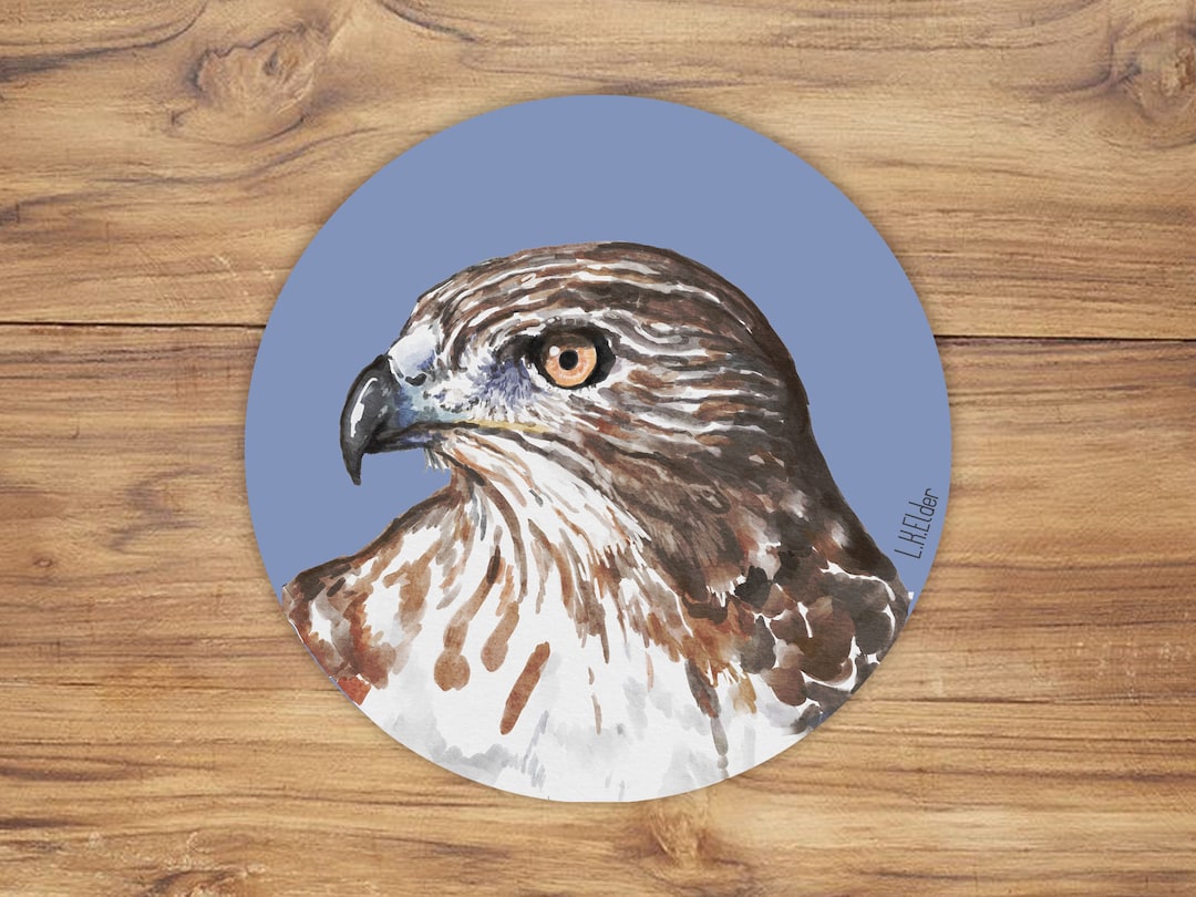 Red-tailed Hawk Sticker, Red-tailed Hawk Vinyl, Birds Stickers ...