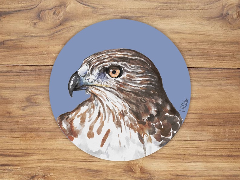 Red-tailed Hawk Sticker Red-tailed Hawk Vinyl Birds - Etsy