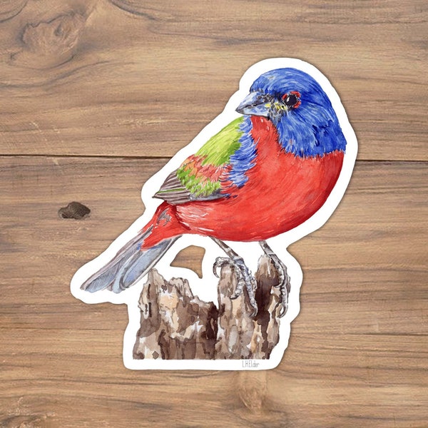 Bird Vinyl - Etsy