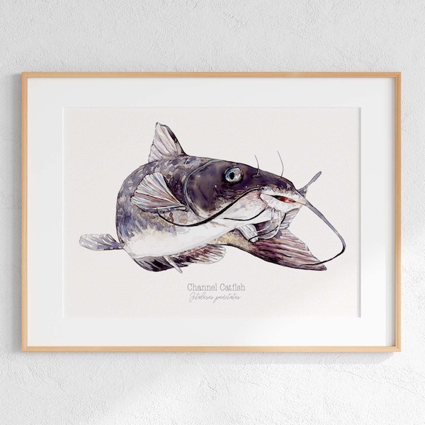 Catfish Art - Etsy