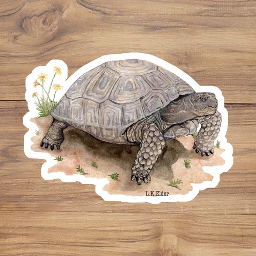 Tortoise Sticker - Etsy
