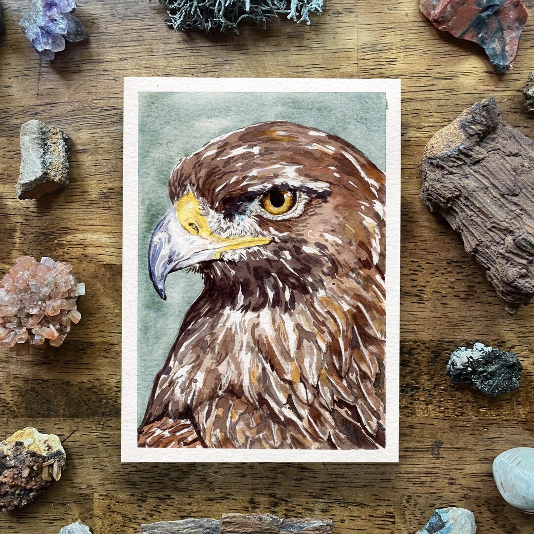 Original Golden Eagle Watercolor Painting: Wildlife Illustration - Etsy