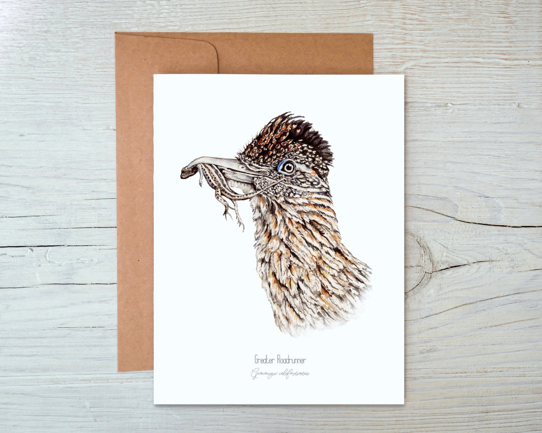 Roadrunner Greeting Card, Blank Bird Card, Roadrunner Notecards, Desert ...