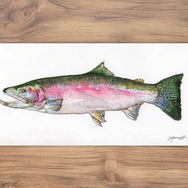 Steelhead Trout Art - Etsy