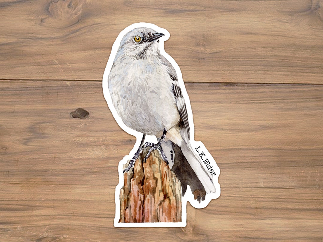 Mockingbird Vinyl Sticker, Watercolor Mockingbird Illustration, Texas ...