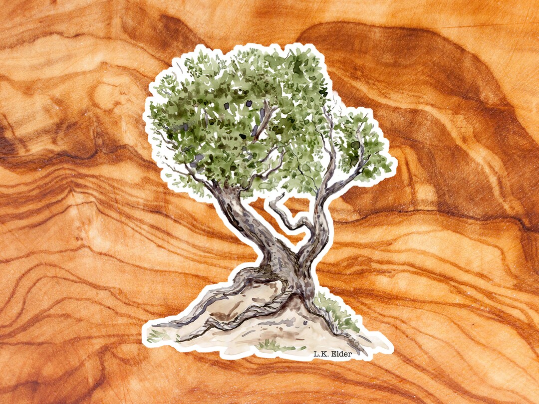 Pinon Tree Sticker, Pinyon Pine Sticker, Pine Tree Sticker, New Mexico ...