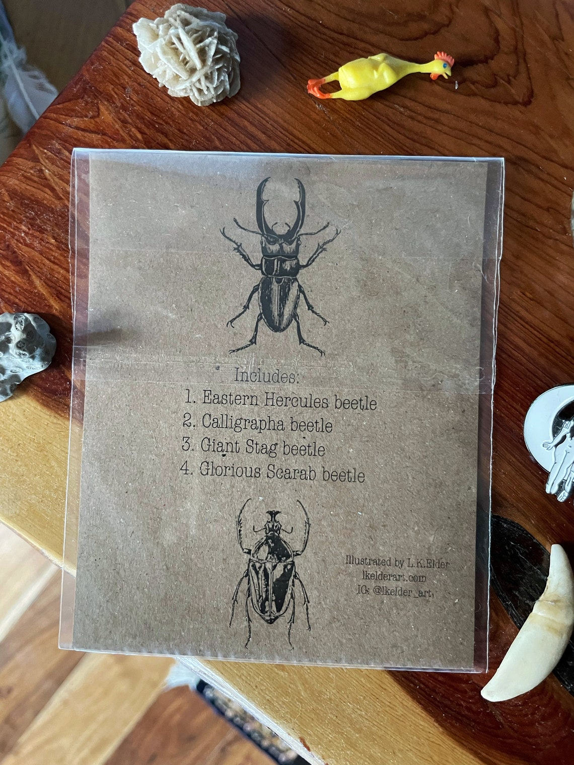 Beetles Sticker Pack Eastern Hercules Beetle Calligrapha | Etsy