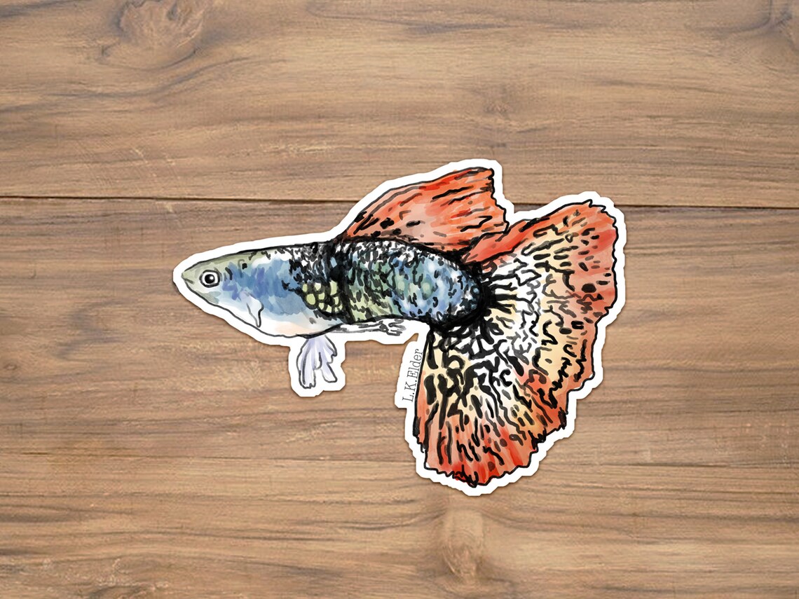 Guppy Sticker Guppy Illustration Fish Sticker Rainbow Fish - Etsy
