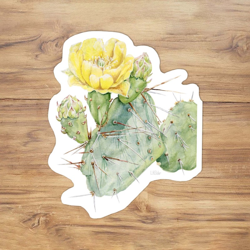 Cactus Sticker - Etsy