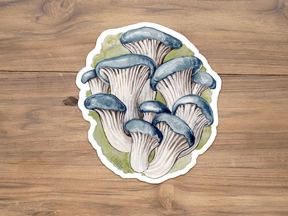 Blue oyster mushroom sticker mushroom sticker fungi sticker | Etsy