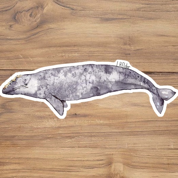 Whale Sticker - Etsy