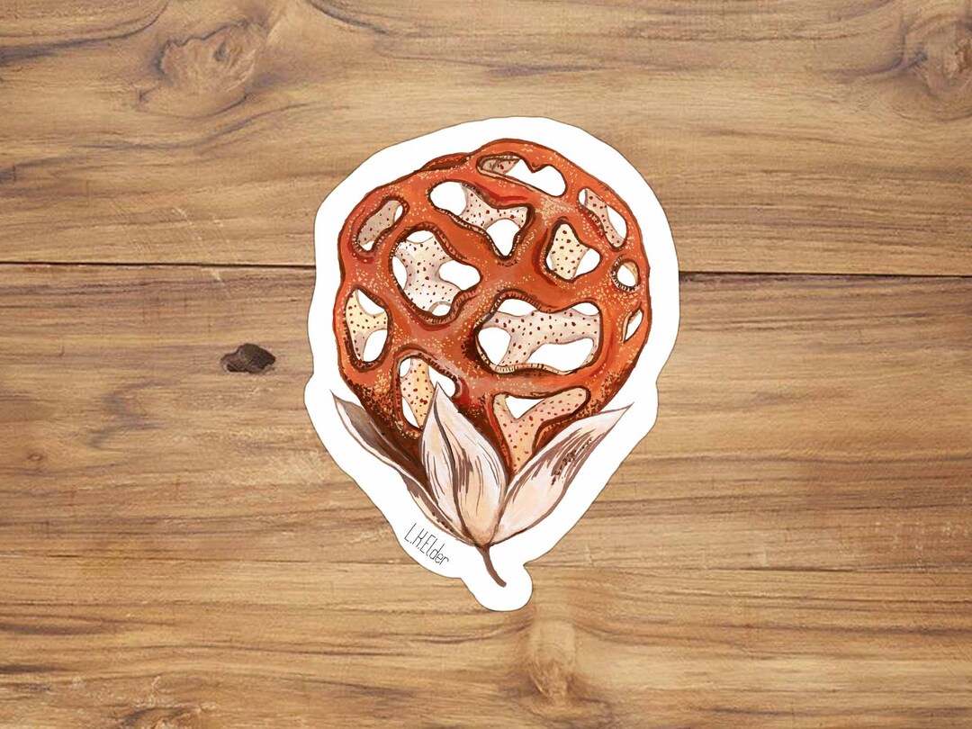 Fungi Sticker, Mycology Stickers, Red-cage Fungi Sticker, Botanical ...