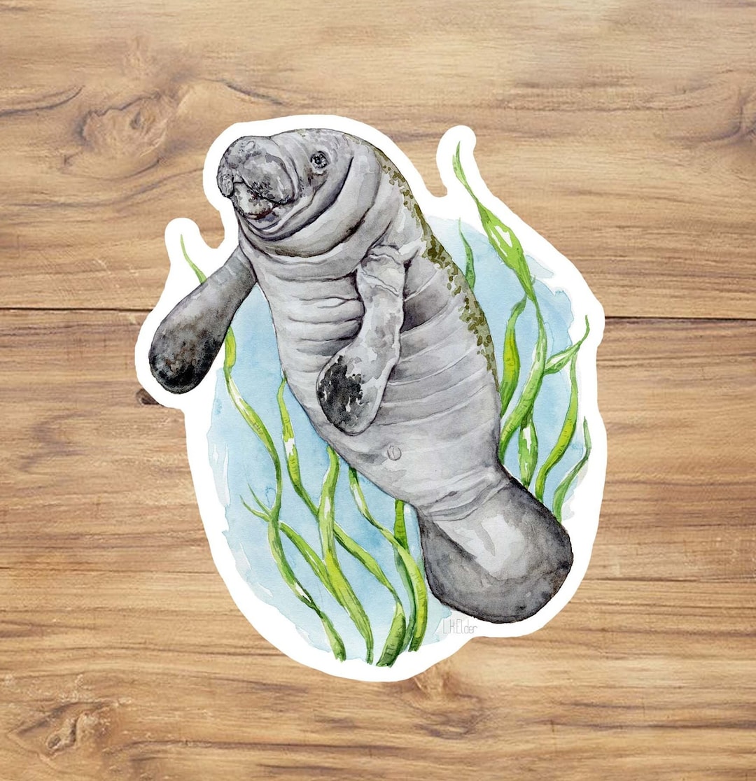 Manatee Sticker, Sea Cow Vinyl Sticker, Florida Sticker, Atlantic ...