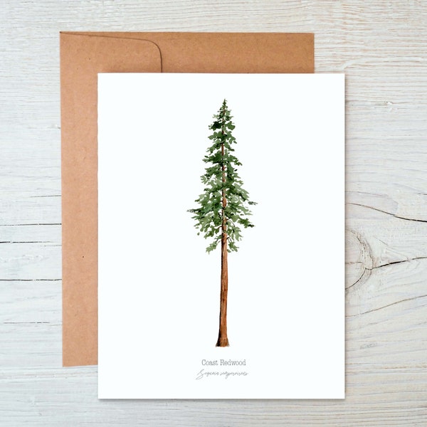 Redwood - Etsy