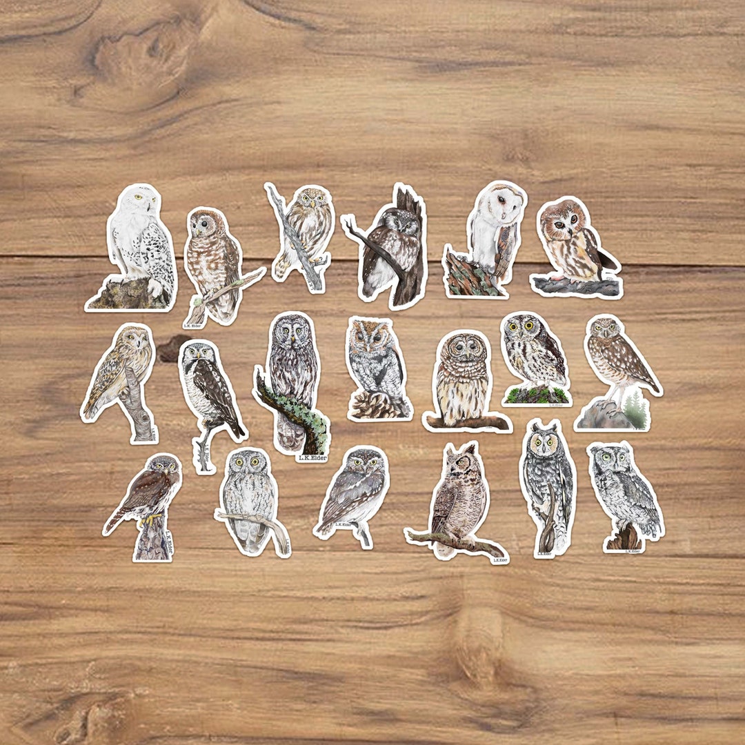 Owl Sticker Pack, Barn Owl Sticker, Screech Owl Sticker, Great Horned ...