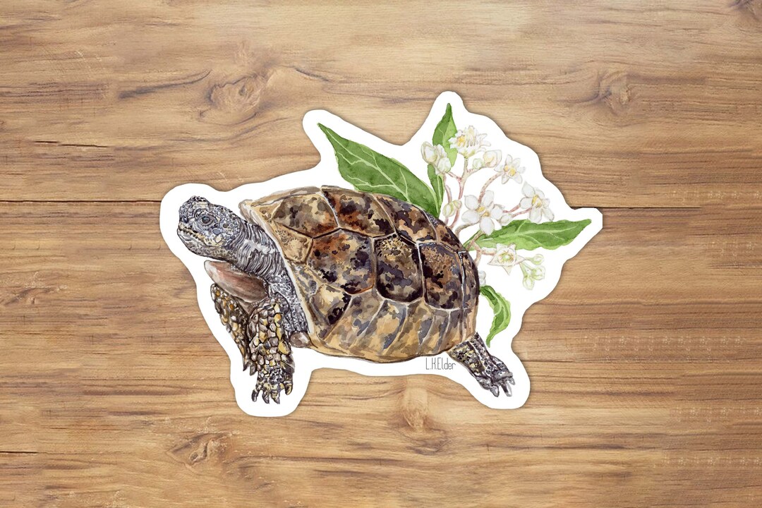 Gopher Tortoise Sticker, Tortoise Vinyl Sticker, Turtle Sticker ...