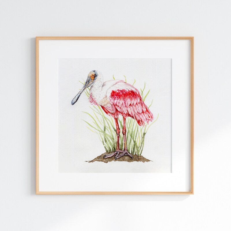 Spoonbill - Etsy