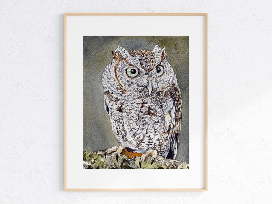 Western Screech Owl Giclee Print, Screech Owl Print, Screech Owl ...