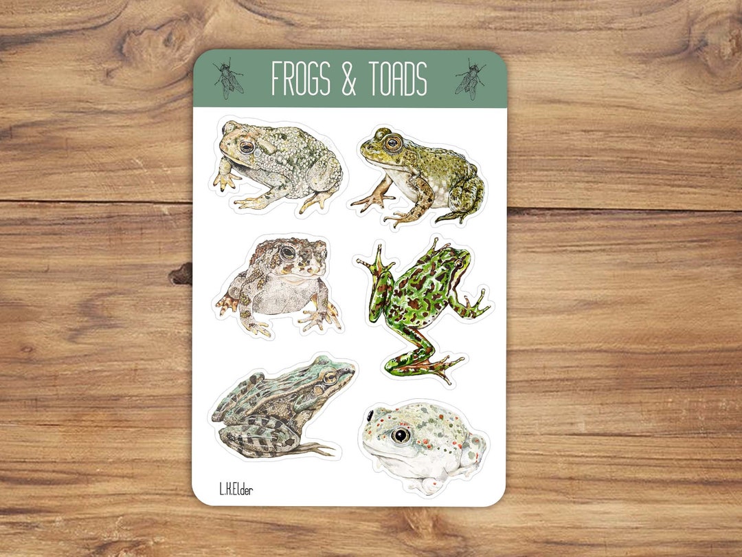 Frogs Sticker Sheet, Toad Sticker Sheet, Toad Vinyl Sticker, Frog Vinyl ...