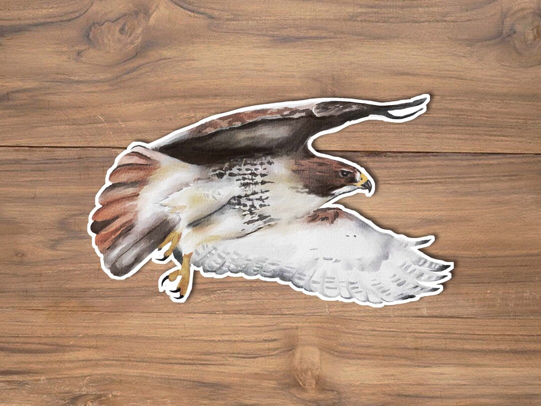 Red-tailed Hawk Sticker, Falcon Sticker, Hawk Sticker, Flying Bird ...