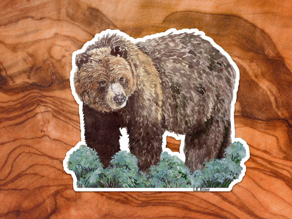 Grizzly Bear Sticker Grizzly Sticker Wildlife Sticker - Etsy