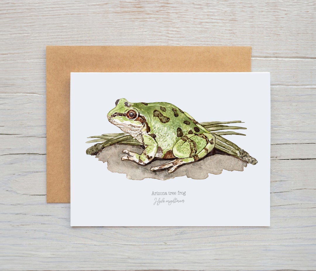 Arizona Tree Frog Greeting Card, Blank Wildlife Notecards, Frog ...