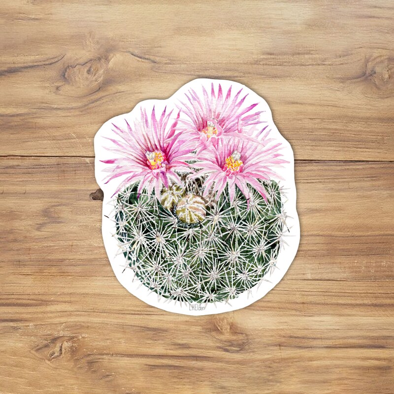 Cactus Sticker - Etsy