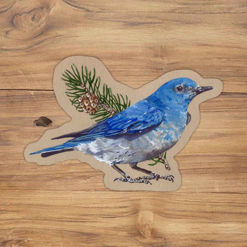 Bluebird Stickers - Etsy