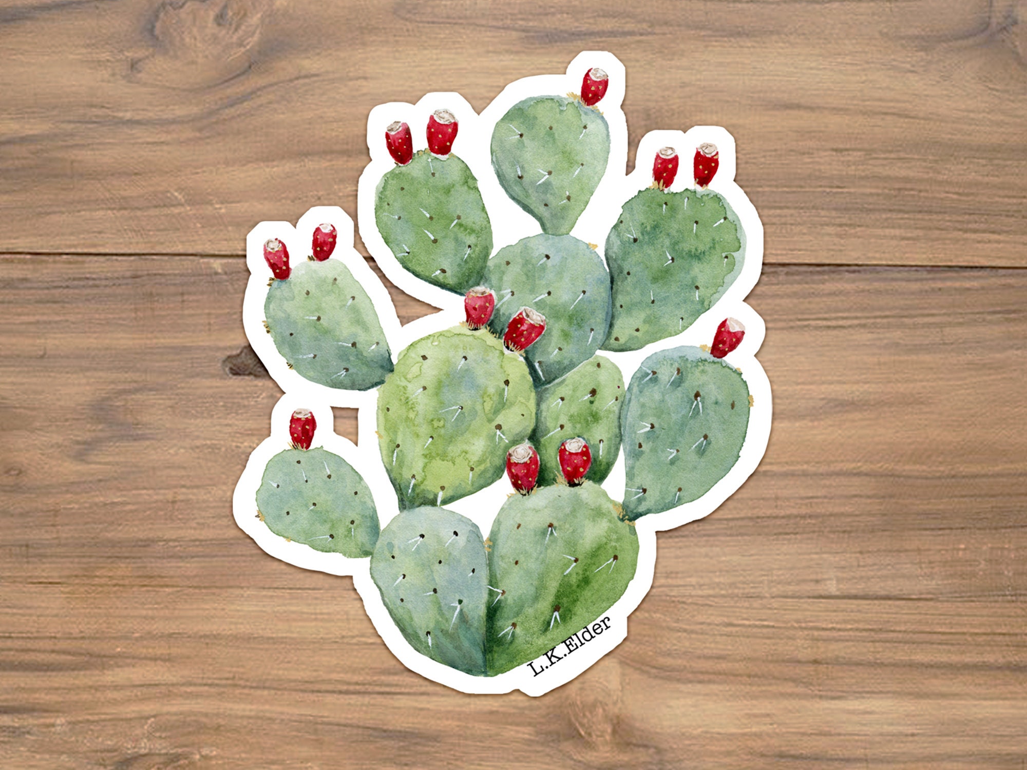 Prickly Pear Cactus Vinyl Sticker Prickly Pear Sticker - Etsy