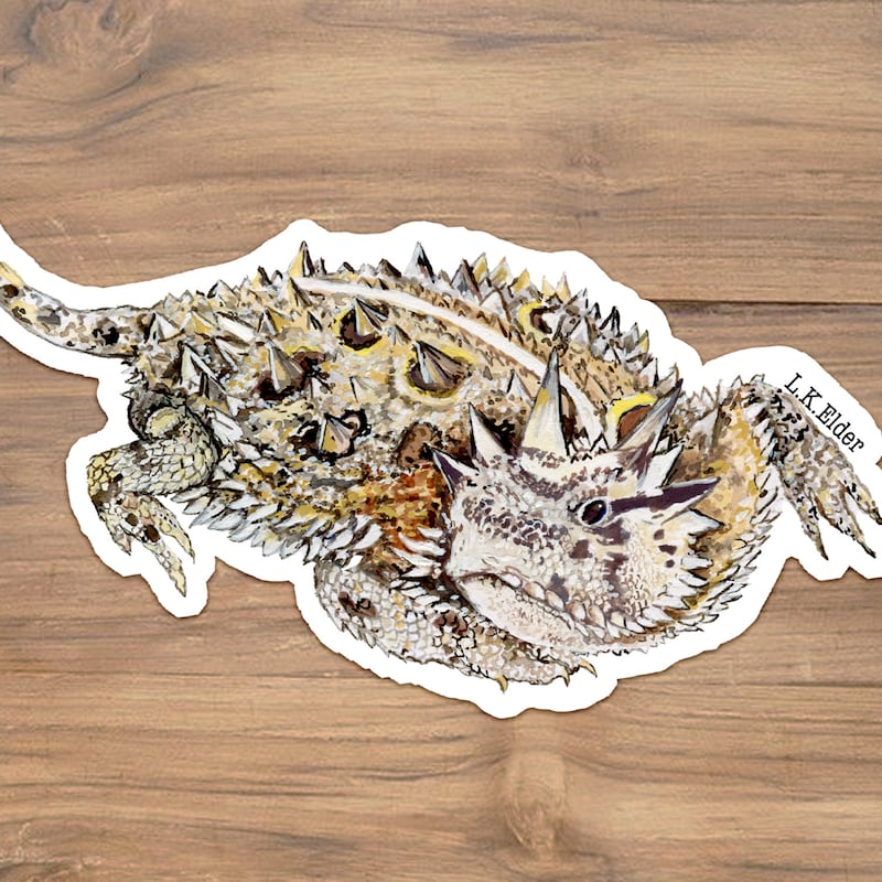 Horned Toad - Etsy