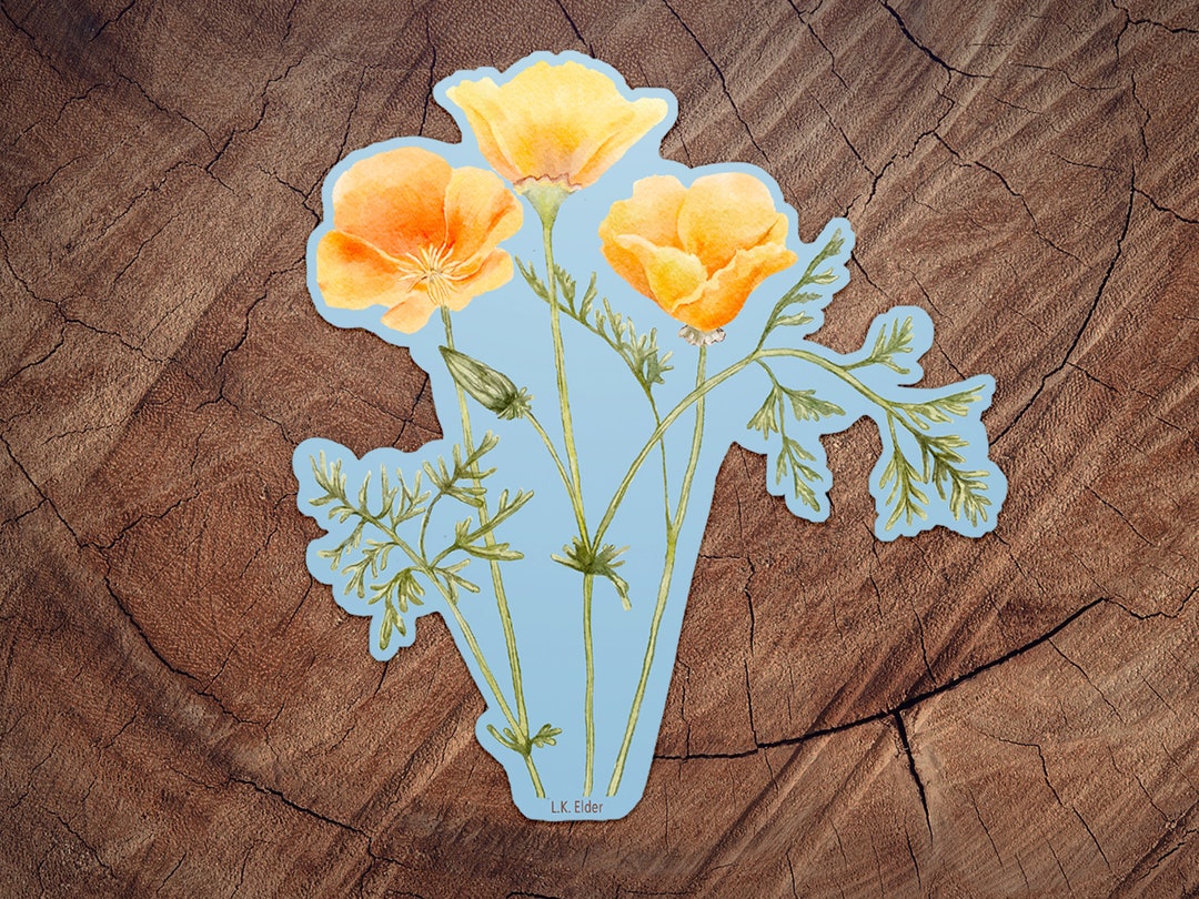 California Poppy Sticker, Golden Poppy Sticker, Orange Poppy Sticker ...