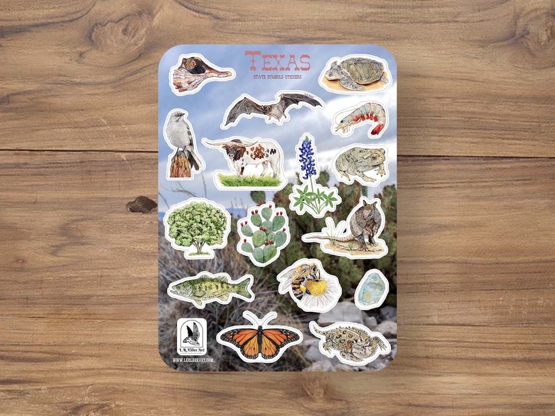 Glossy Texas State Symbols Sticker Sheet: Texas Typology - Etsy