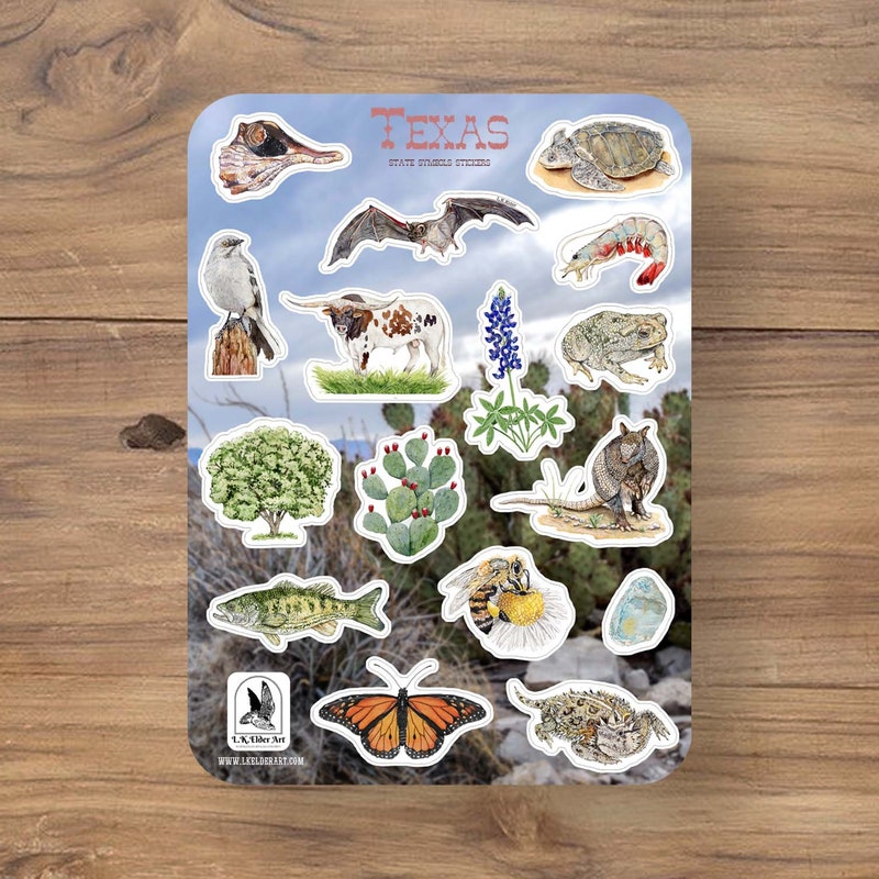 Texas Sticker - Etsy