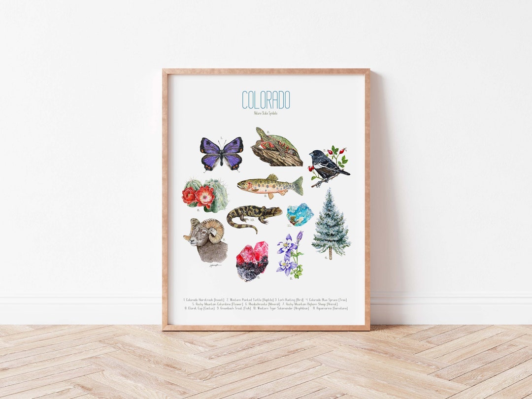 Colorado State Symbols Art Print: Flora & Fauna Typology - Etsy