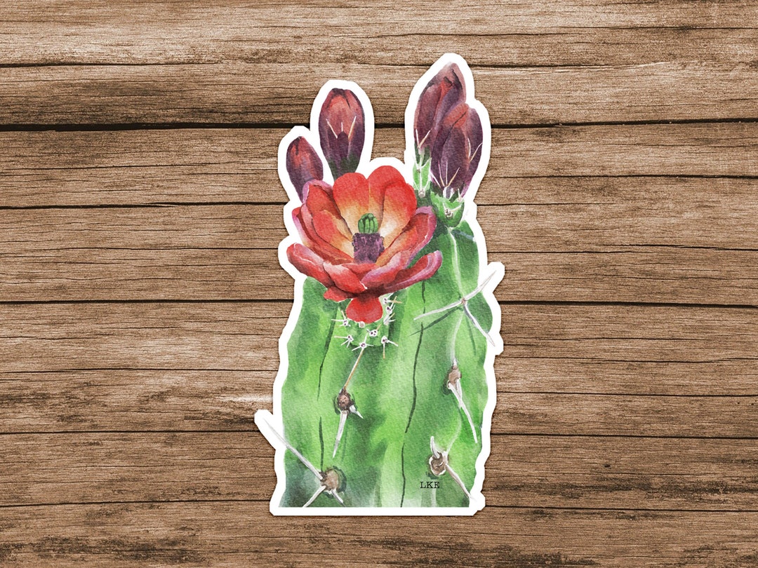 Claret Cup Cactus Sticker Cactus Flower Sticker Arizona - Etsy