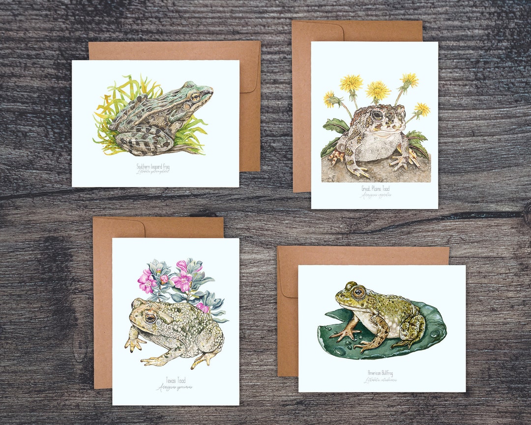 Frog Notecard Set, Toads Notecard Set, Frog and Toad Greeting Card ...