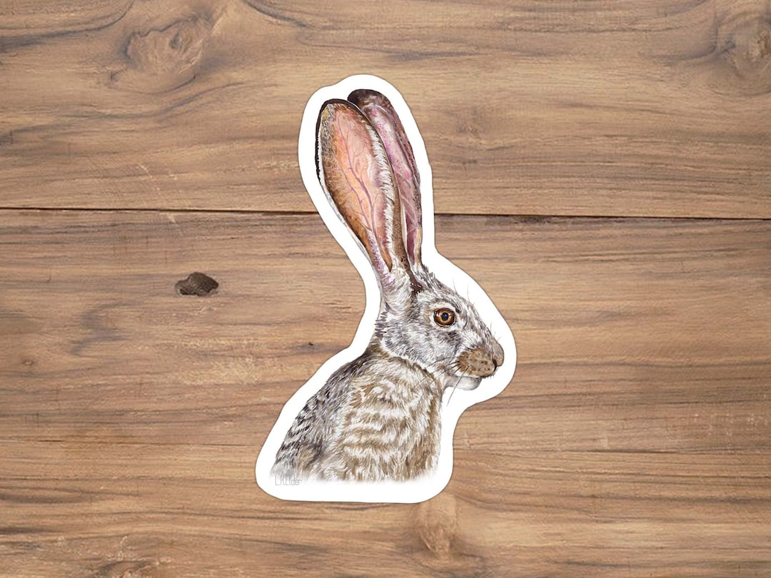Jackrabbit Sticker, New Mexico Stickers, California Stickers, Bird ...