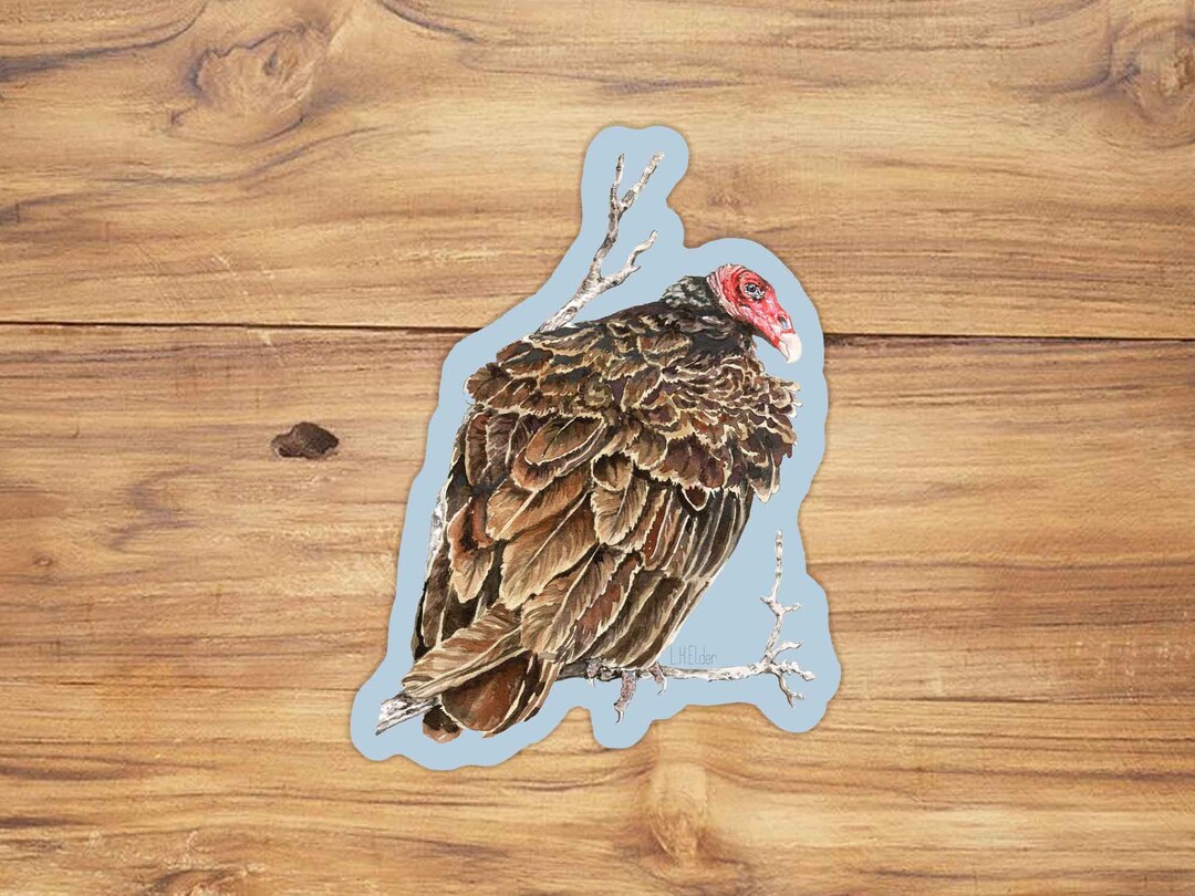Turkey Vulture Sticker, Vulture Sticker, Buzzard Stickers, Carrion ...
