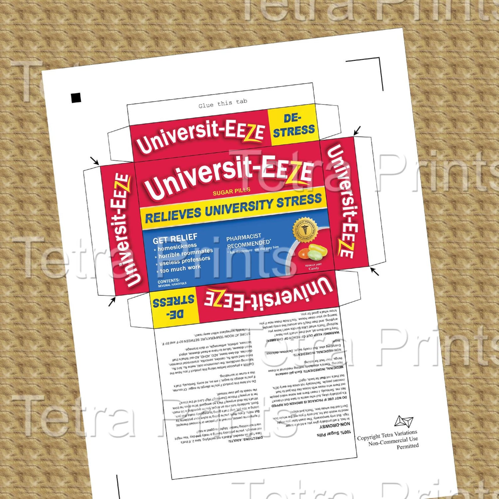 Funny College Gift: Universit-eeze Box, DIY Printable Gag Gift - Etsy