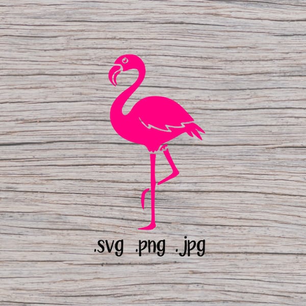 Flamingo Svg - Etsy