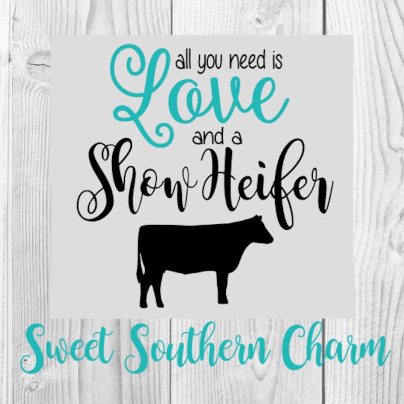 Show Heifer - Etsy