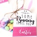 Happy Easter Bunny Shaped Gift Tags | Some Bunny Loves You | Printable ...