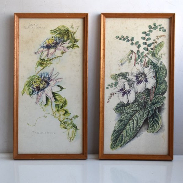 Framed Botanical Prints - Etsy