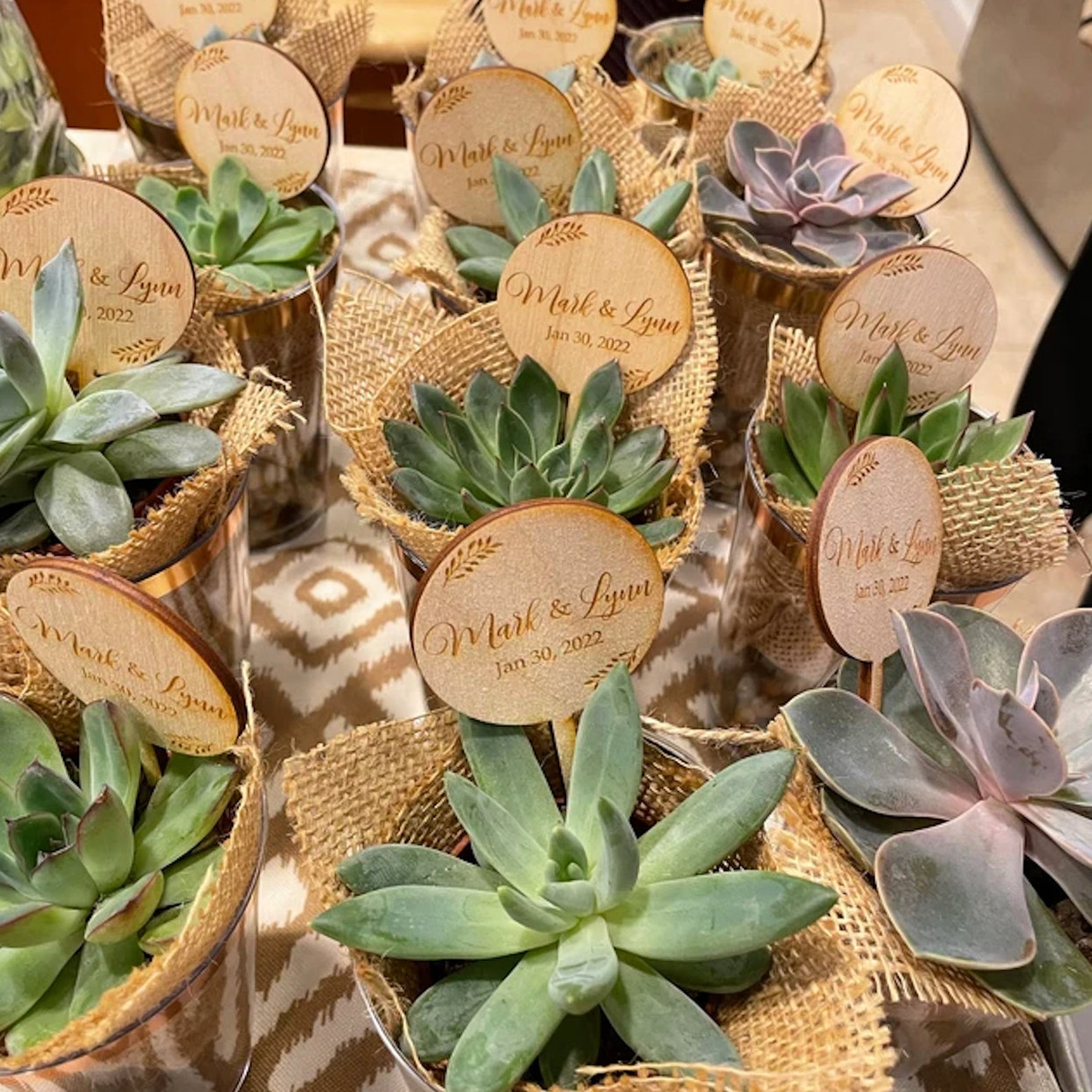 Succulent Tags Wedding Favors Wedding Favor Tags Plant Favors Succulent ...