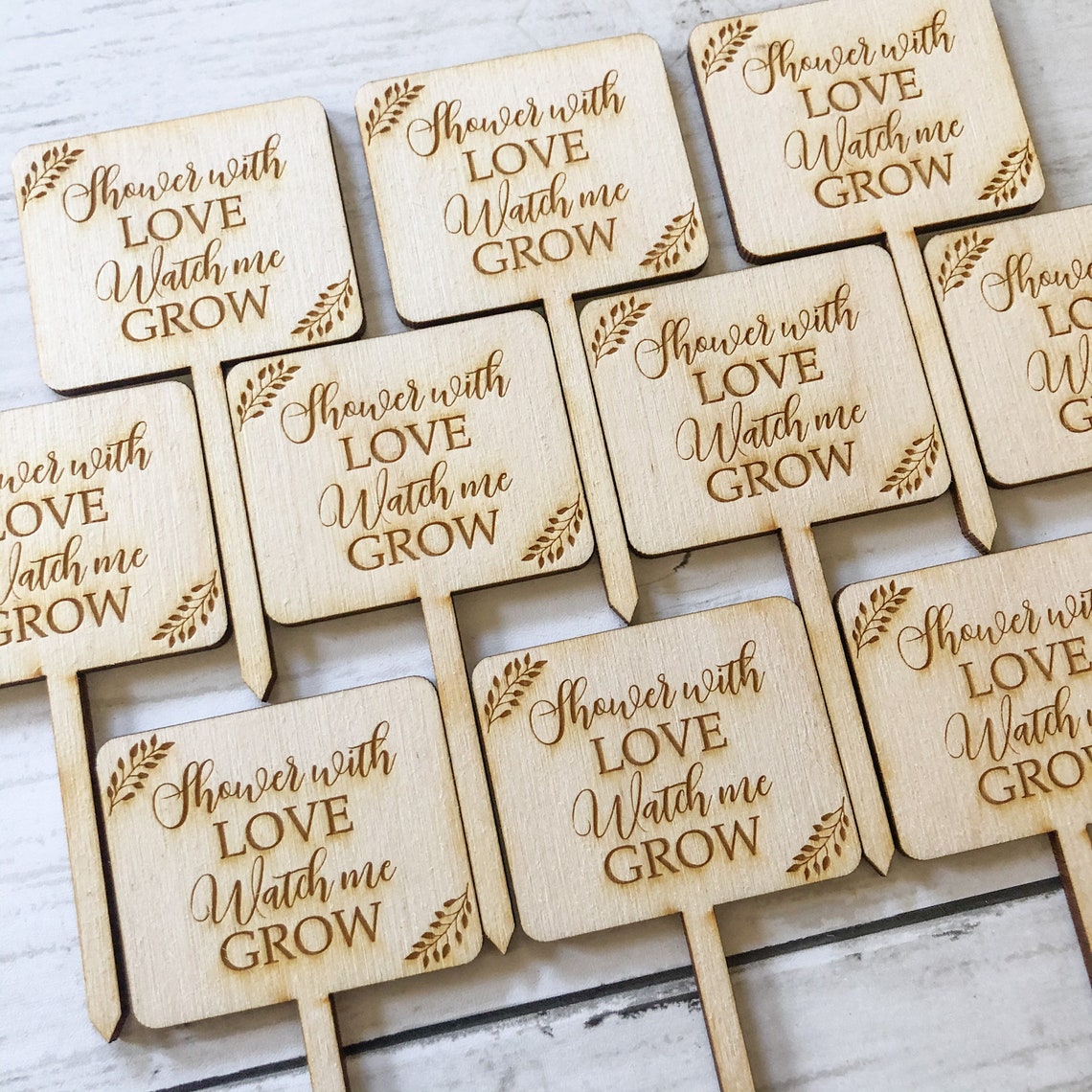 Shower With Love Watch Me Grow Watch Me Grow Succulent Tags - Etsy